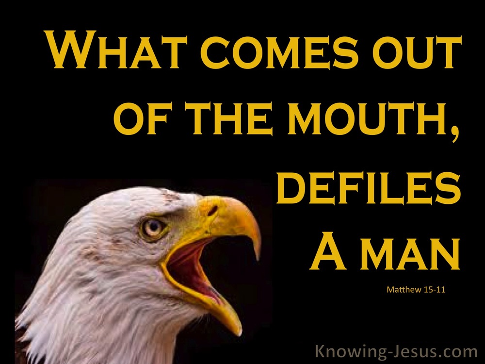 What Does Matthew 15 11 Mean what-does-matthew-15-11-mean